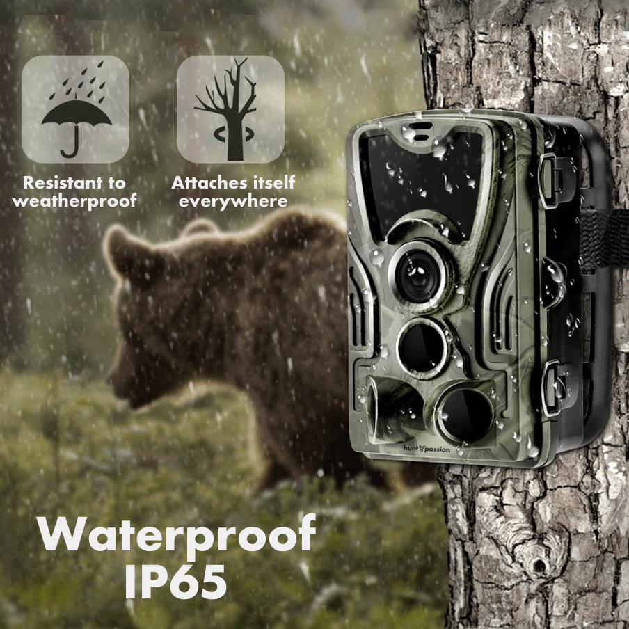 HuntPassion® - Smart Wildlife Cameras